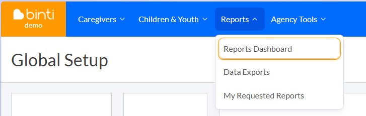 Reports Navigation & Dashboard – Binti